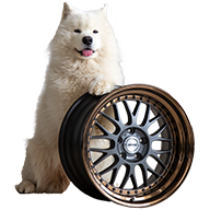 Work Wheels – Custom JDM Wheels | Free Worldwide Shipping